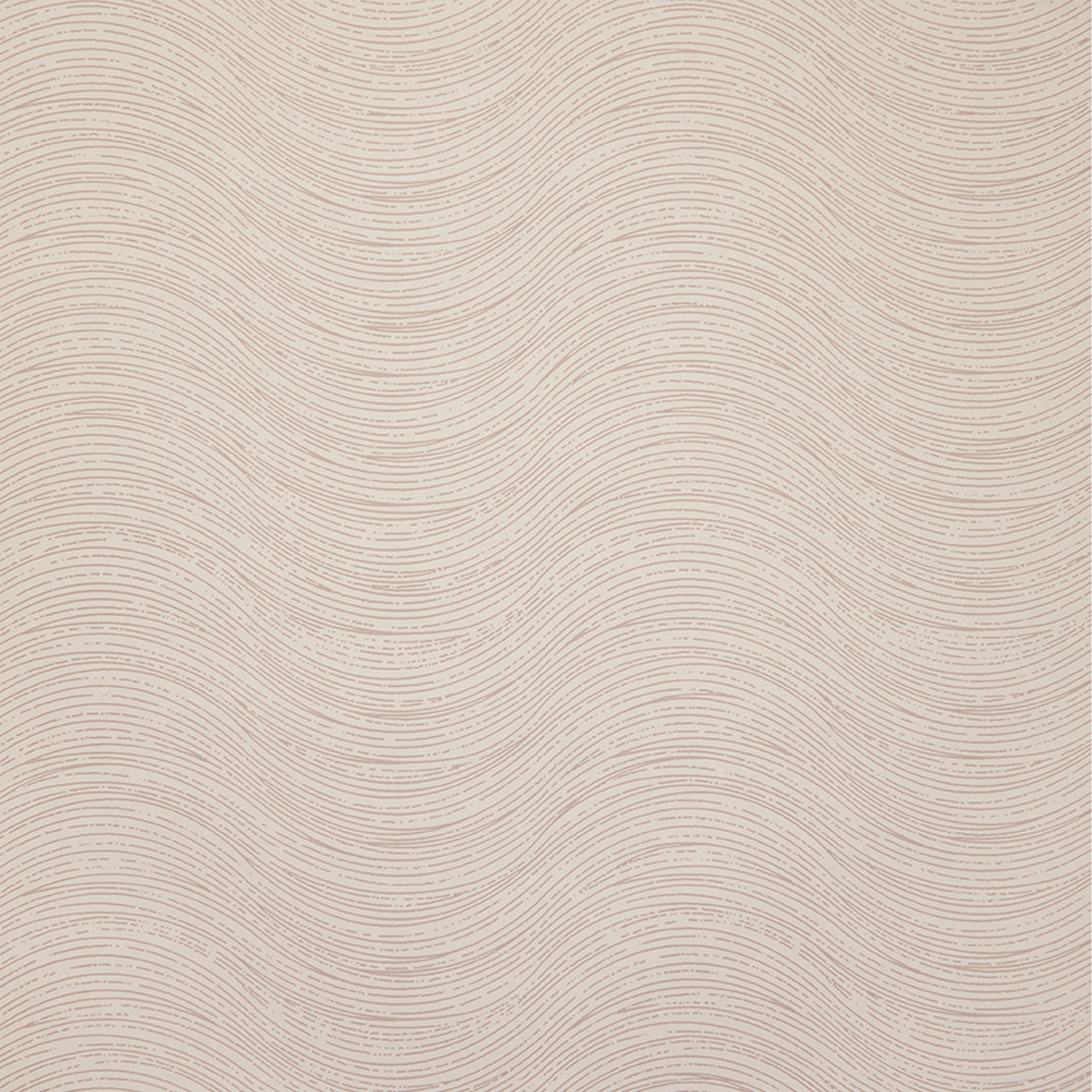 Chalk 65519 Ripple Rose – Sasi Wallpaper
