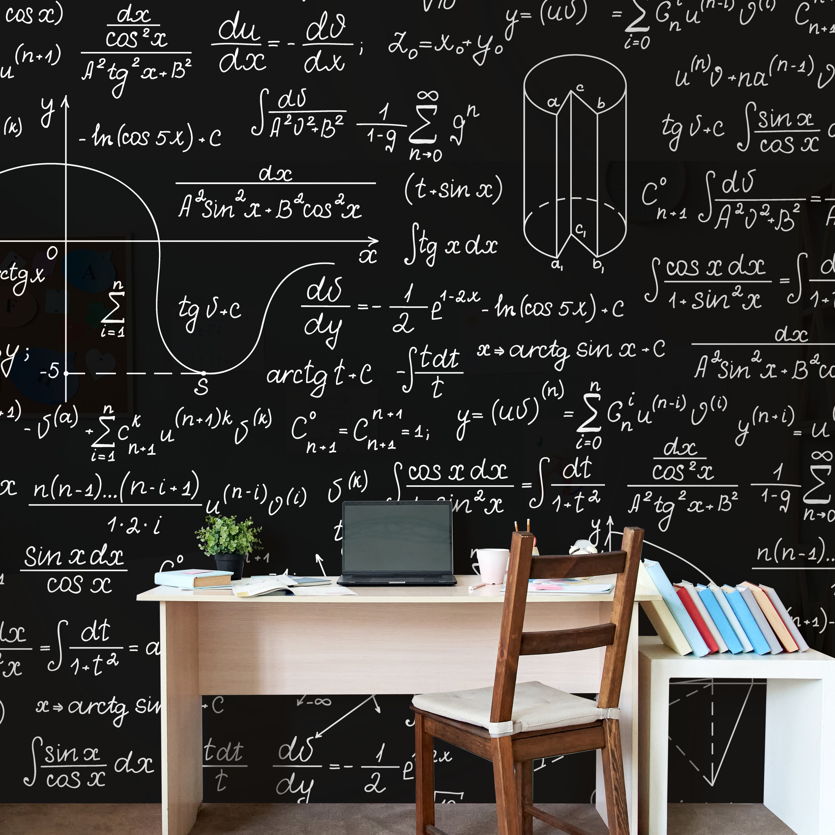 Mathematical Wall - [Custom printed at R560/m²] – Sasi Wallpaper