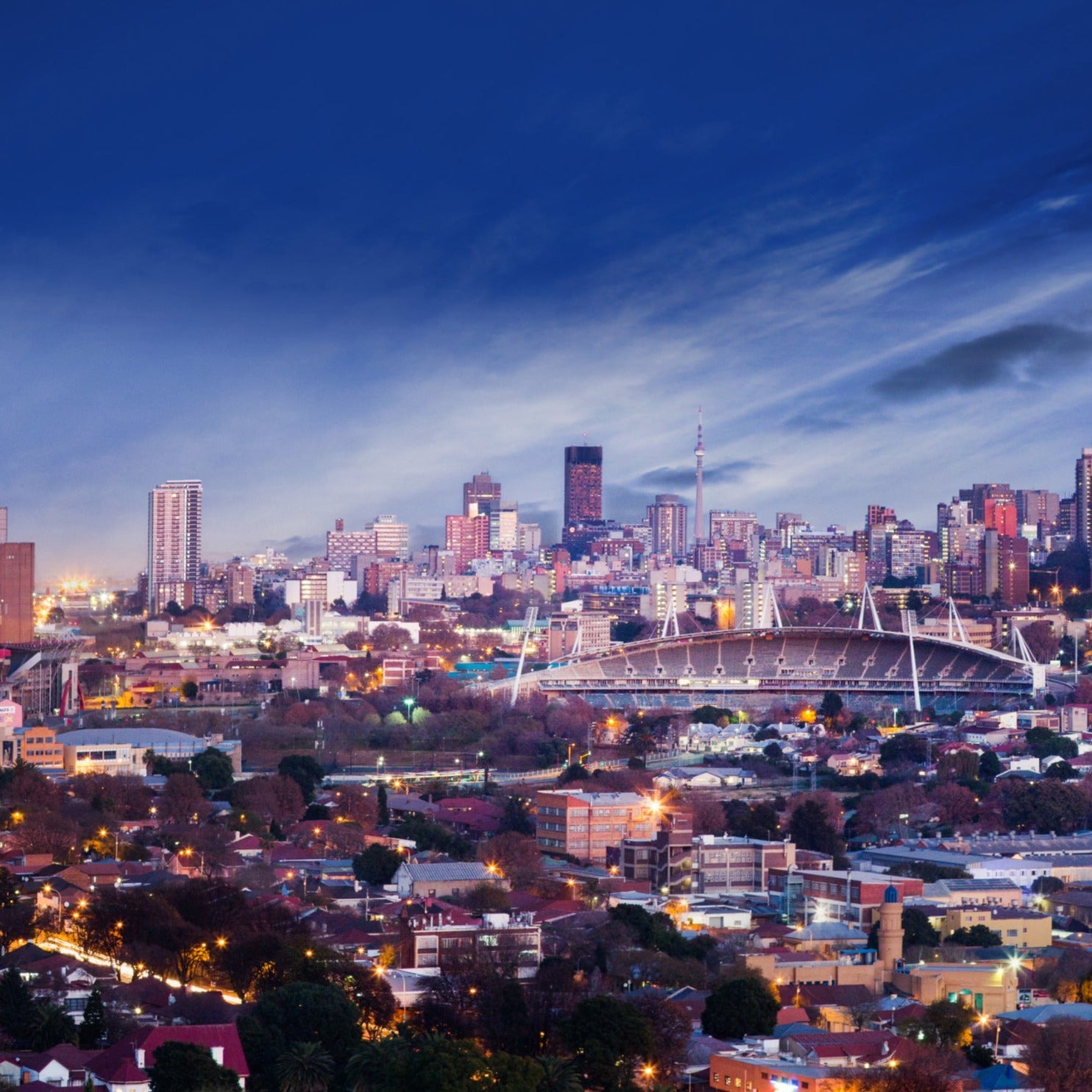 Joburg Skyline - [Custom printed at R560/m²] – Sasi Wallpaper